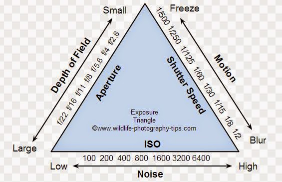 Getting it Right in the Digital Camera : Exposure, the Basics & More